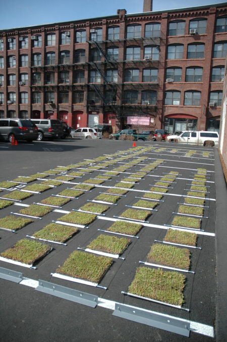 Parti Wall - Merge Architects