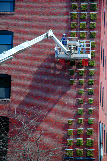 Parti Wall - Merge Architects