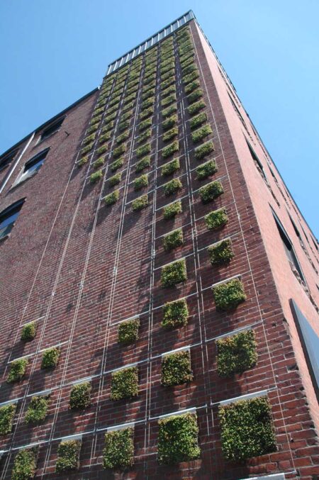 Parti Wall - Merge Architects